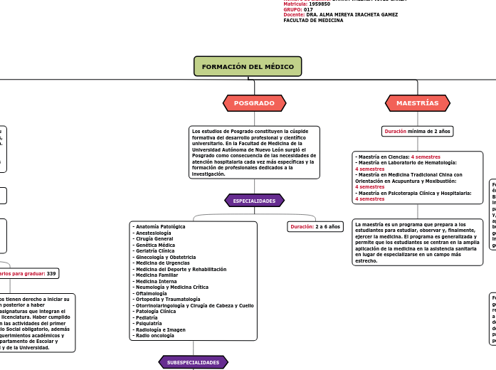 FORMACIÓN DEL MÉDICO - Mind Map